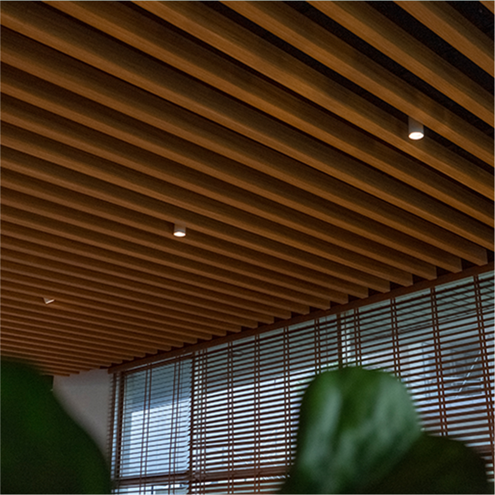 WPC Ceiling